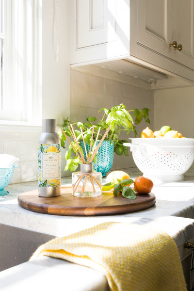 Citron Sol Reed Diffuser Set – Nicholas and Co